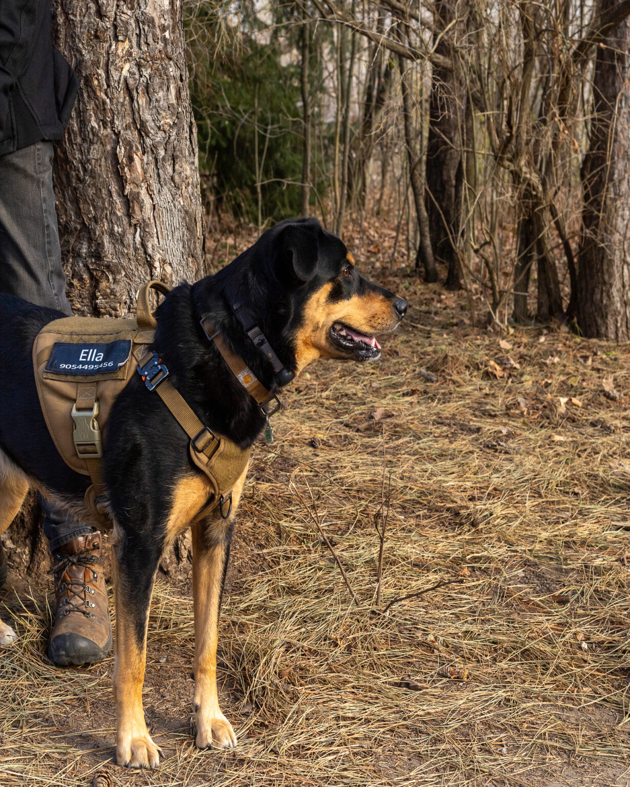 Victoria Cardillo – Maximum Exposure 2025